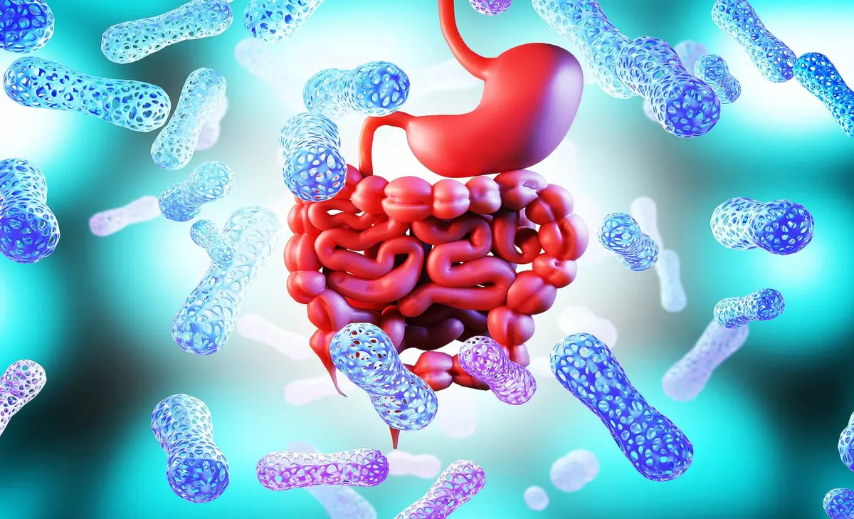 A Gastroenterologists 10 Step Guide to Great Gut Health - Dr Arif Hussenbux